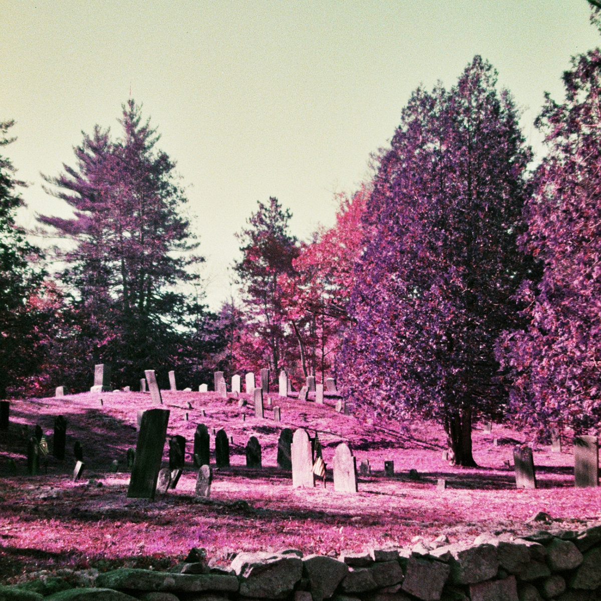 How To Tie Up Loose Ends | Wesley Harper