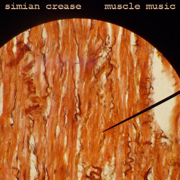 Muscle Music | Simian Crease