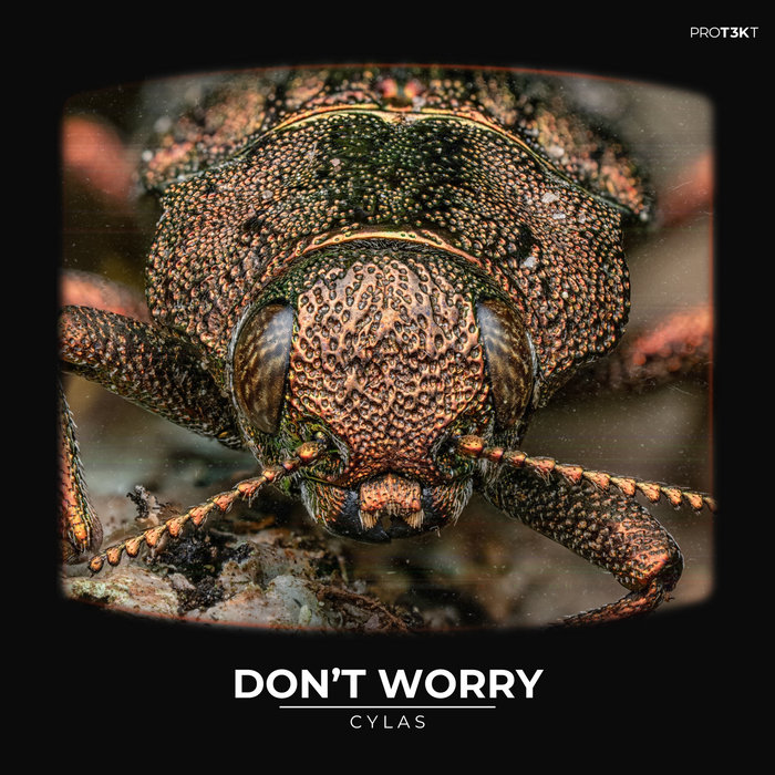 INSECTS008 (Pay What You Want) | CYLAS | T3K