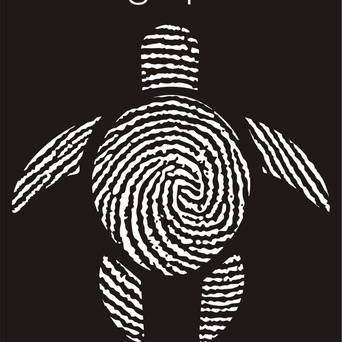 Newborn Sun | Fingerprint