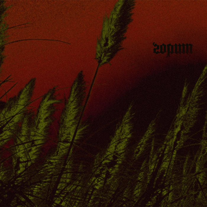 Coltaine - Gorit | Coltaine