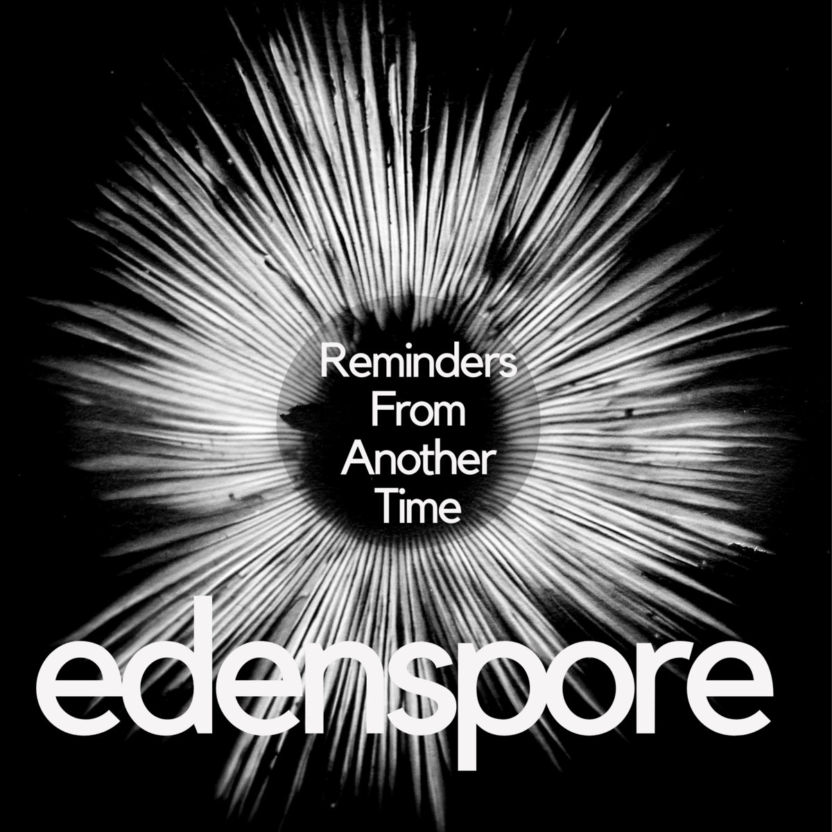 Reminders From Another Time | Edenspore