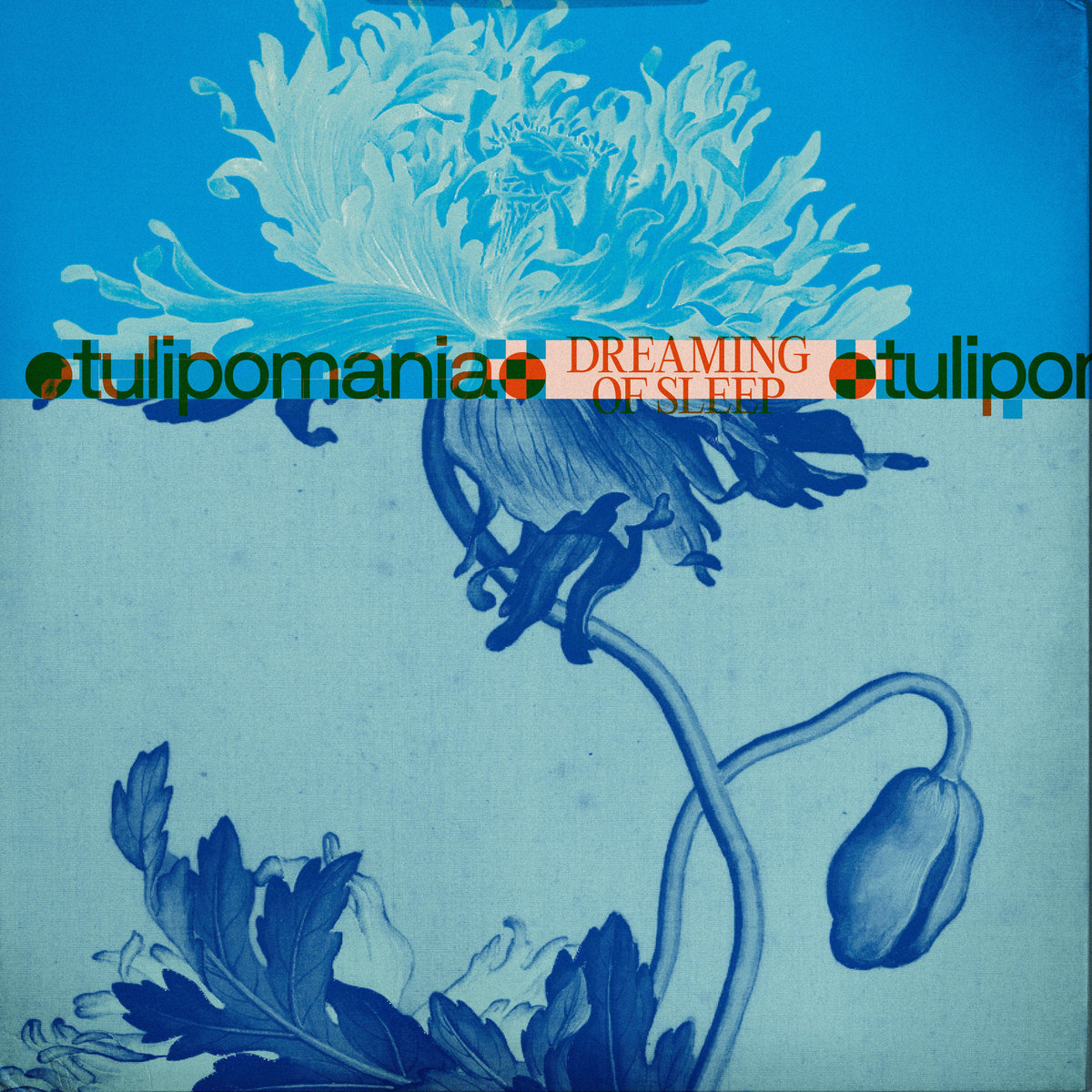 Dreaming of Sleep | Tulipomania