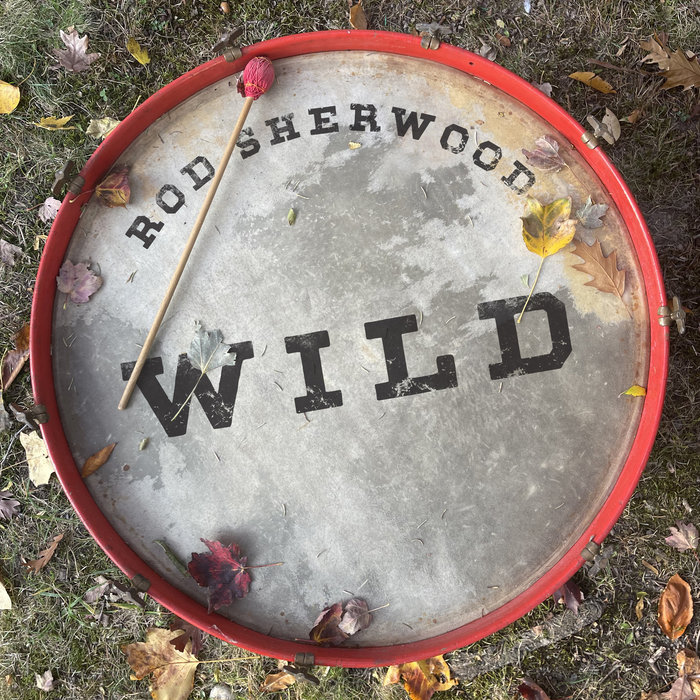 Wild | Rod Sherwood