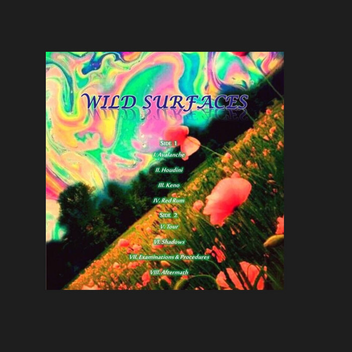 Wild Surfaces | Wild Surfaces | The Aquatic Symphony