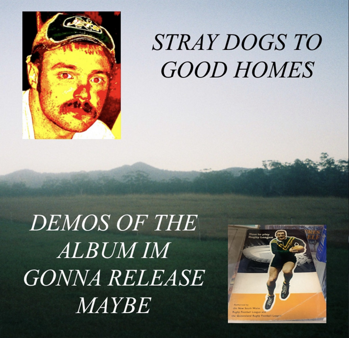 DEMOS OF THE ALBUM IM GONNA RELEASE MAYBE | Stray Dogs To Good Homes
