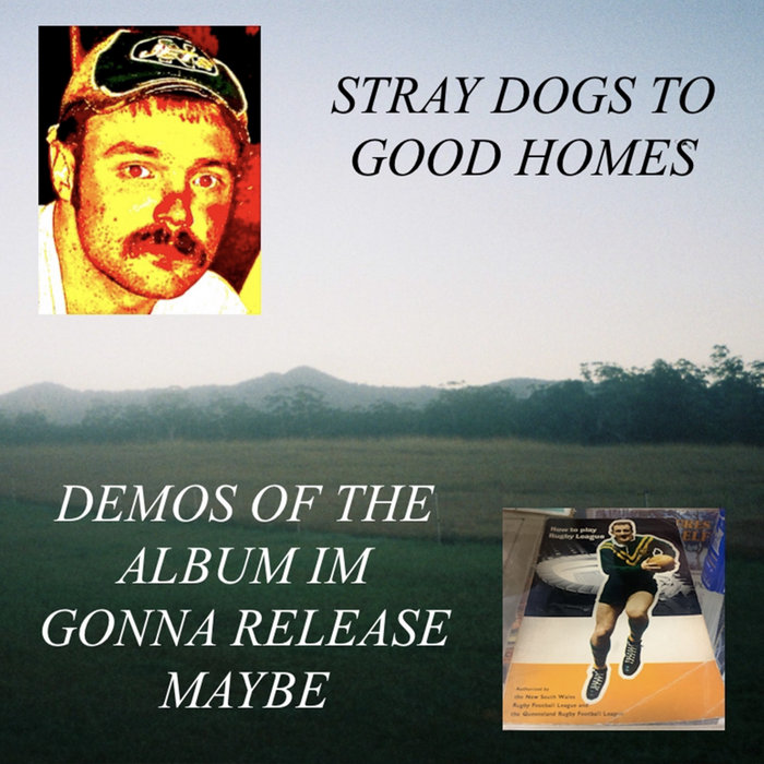 DEMOS OF THE ALBUM IM GONNA RELEASE MAYBE | Stray Dogs To Good Homes