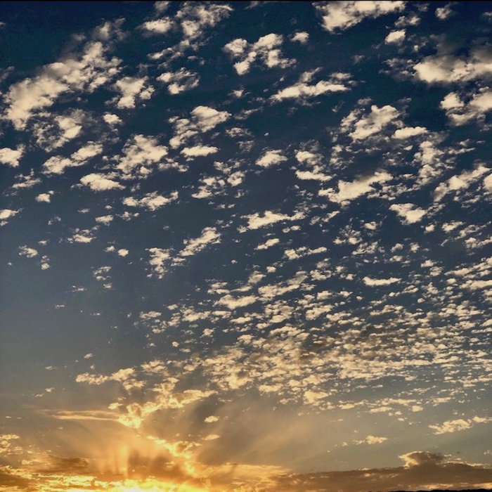 Melodic Monkey | Amos Moretti-Dobo