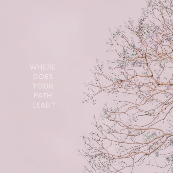 Where Does Your Path Lead? | Church of the Apostles