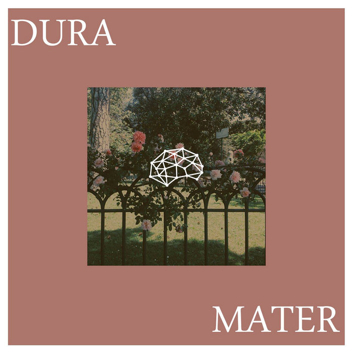 Dura Mater | Dura Mater