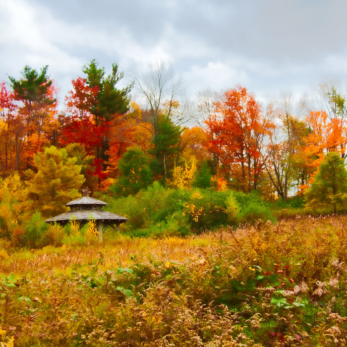 Erik Satie: Three Gymnopédies & Seven Gnossiennes | Mike Smale