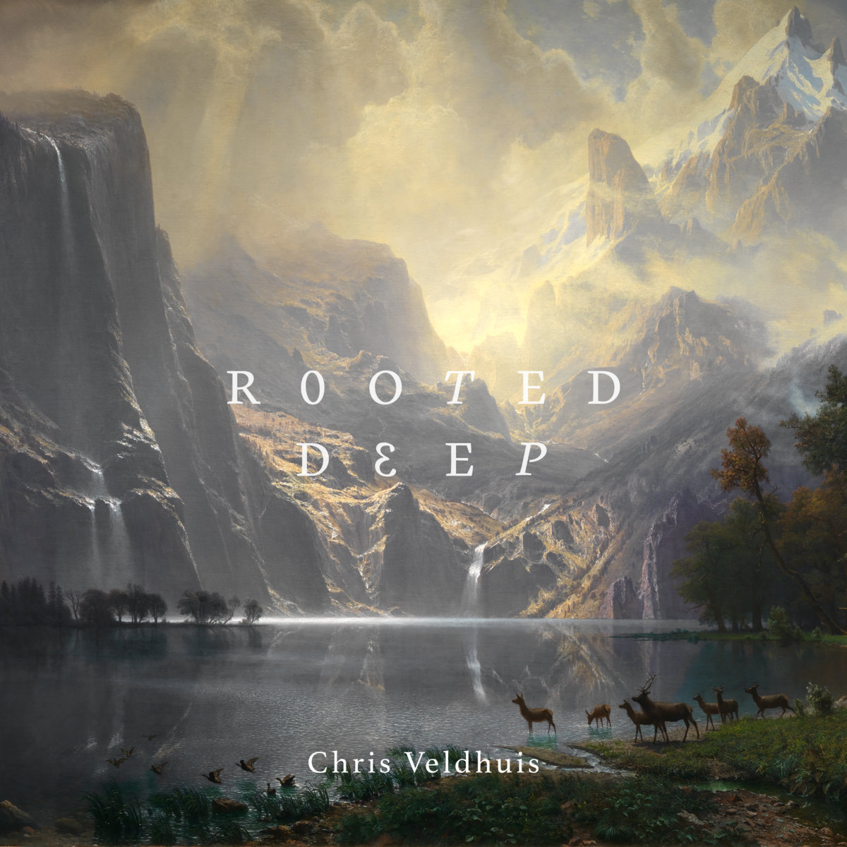Rooted Deep | Chris Veldhuis