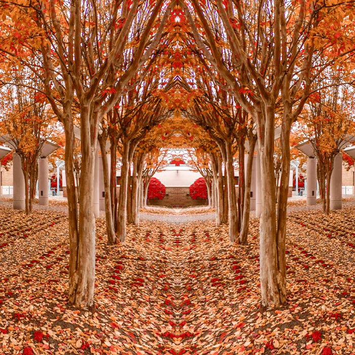 2008.07.16 :: Innsbrook Pavilion :: Glen Allen, VA | STS9