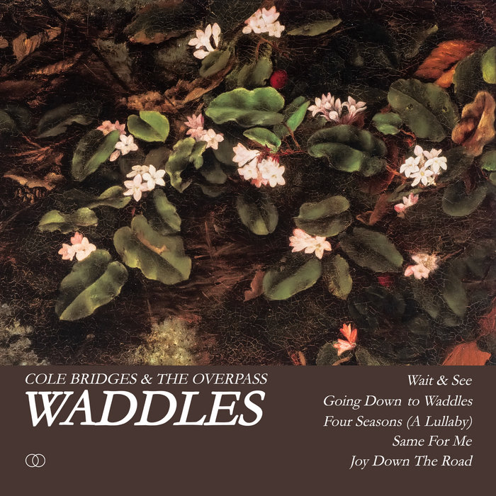 Waddles | Cole Bridges & The Overpass | Cole Bridges