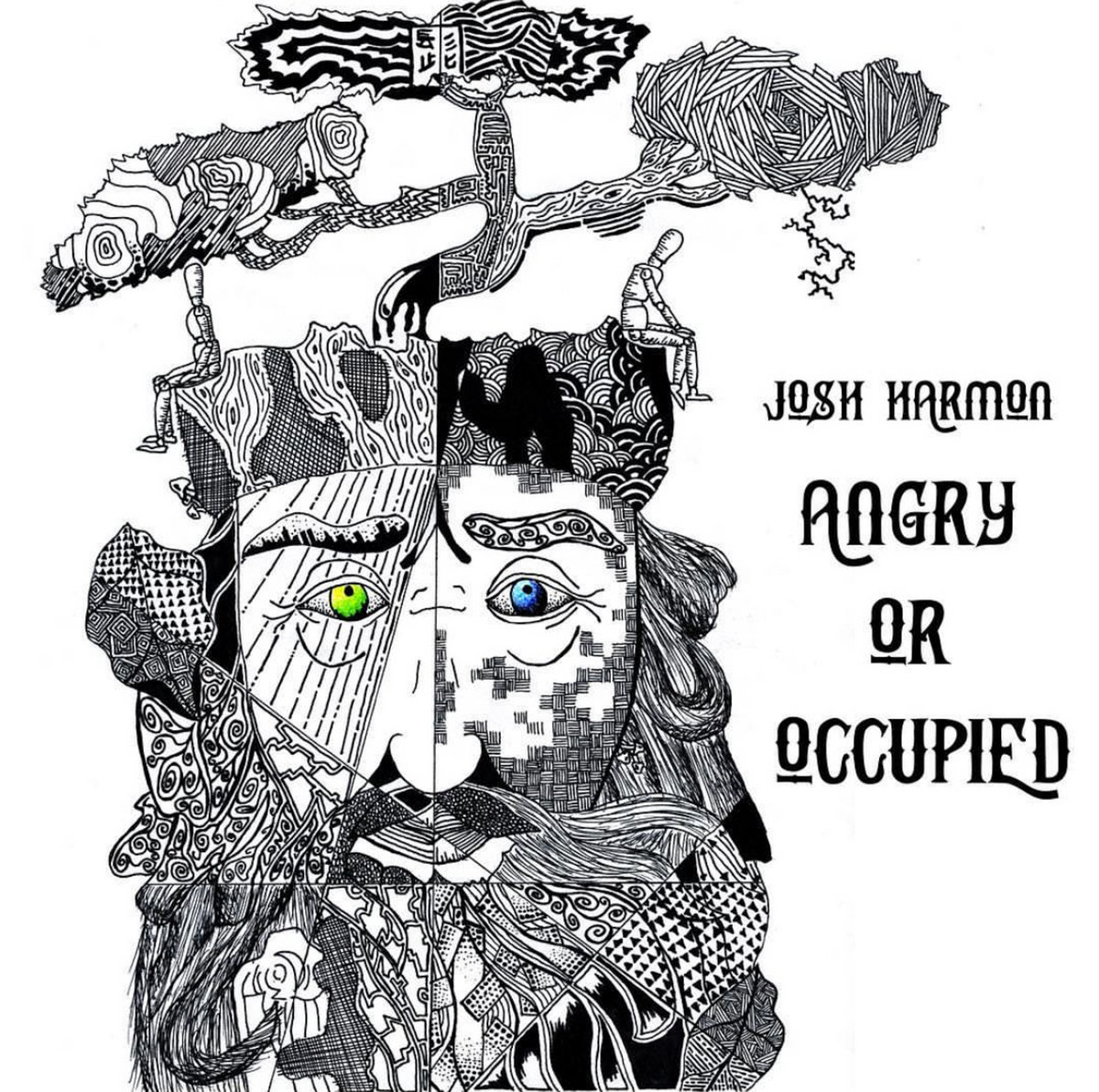 Angry or Occupied | Josh Harmon
