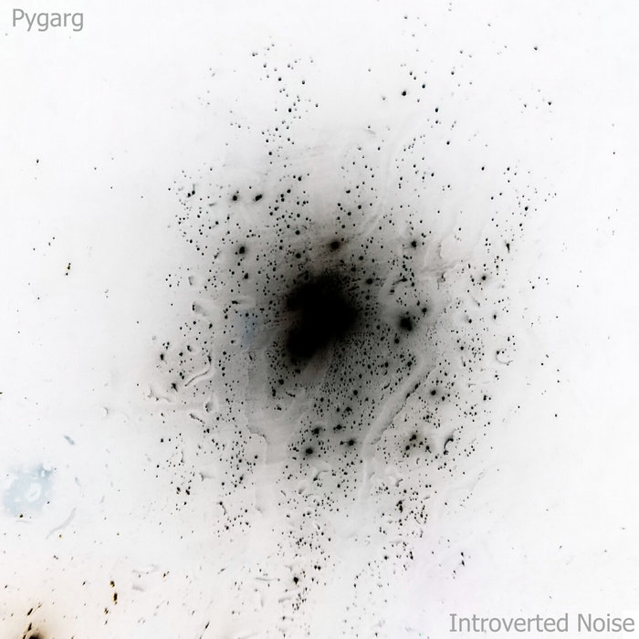 Introverted Noise | Pygarg