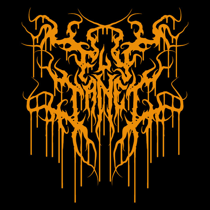 Vinc's Birthday | Fly Janet