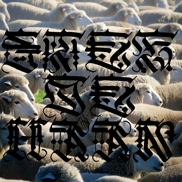 Don't lose sleep over the opinions of sheep. | Stef de Haan
