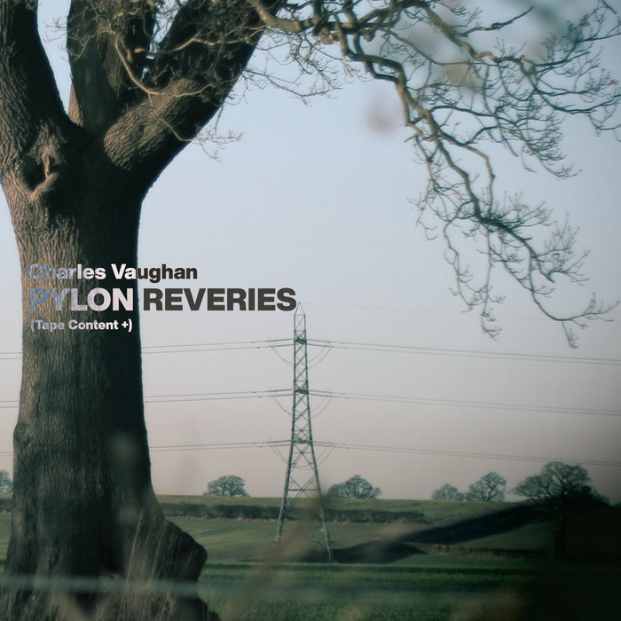 Pylon Reveries (Tape Content +) | Charles Vaughan | Wayside & Woodland ...