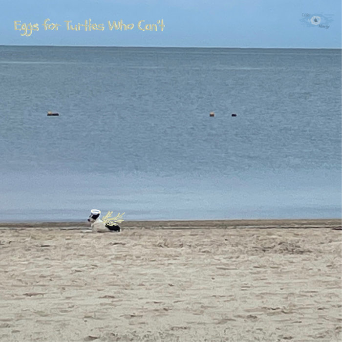 Eggs for Turtles Who Can't | Crab Allergy