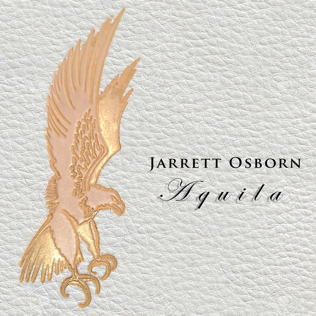 Aquila | Jarrett Osborn