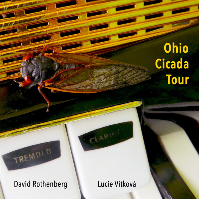 Ohio Cicada Tour | David Rothenberg and Lucie Vítková | Terra Nova Music