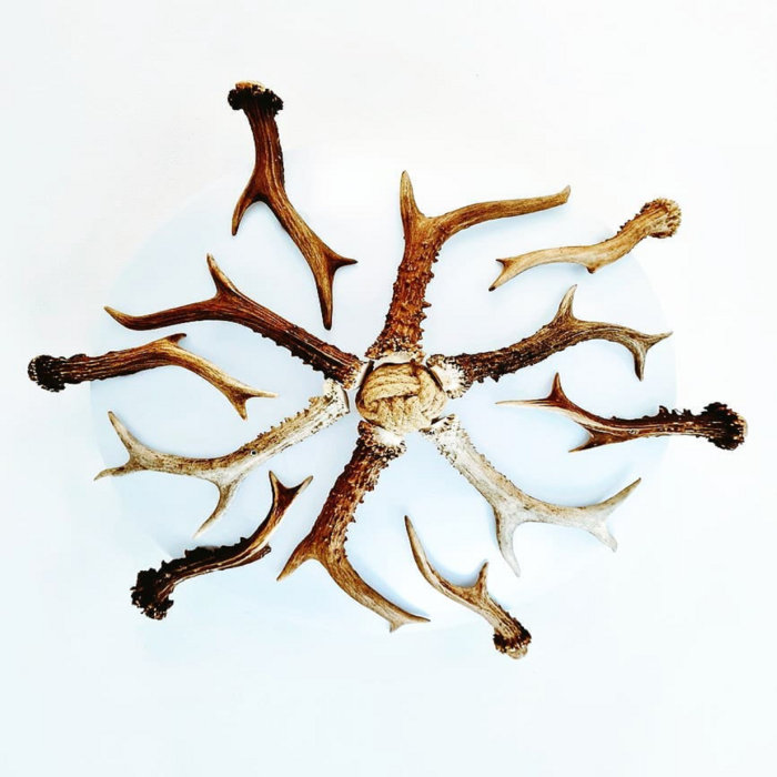 Organ Soundscapes | Freya