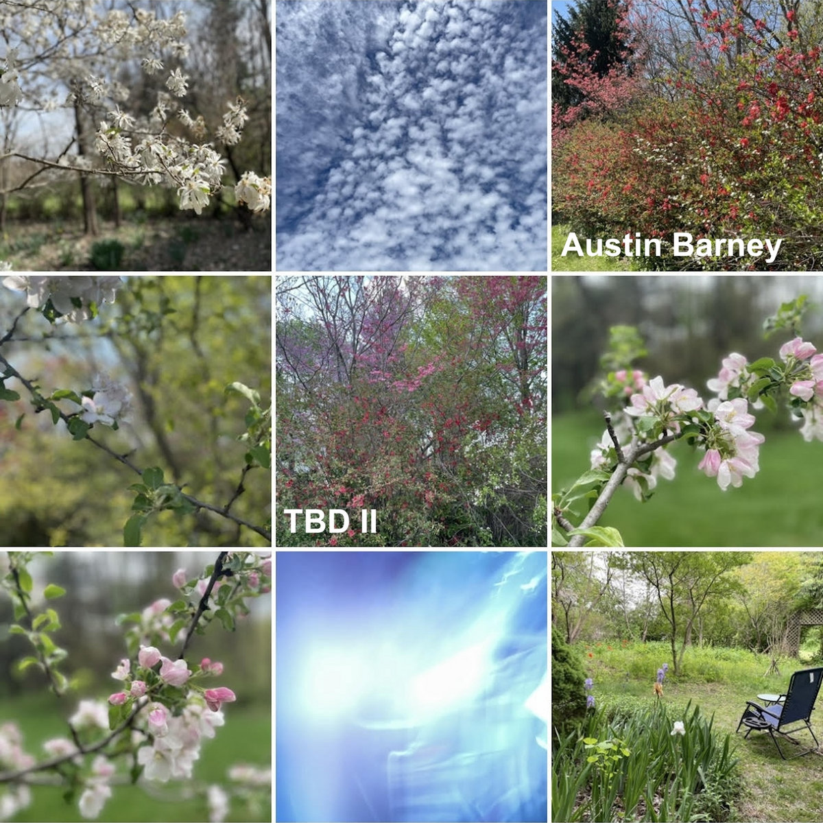 TBD II | Austin Barney