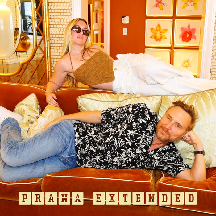 David Guetta - Man In Finance (Prana Extended) | David Guetta , Prana, Girl On Couch | PRANA