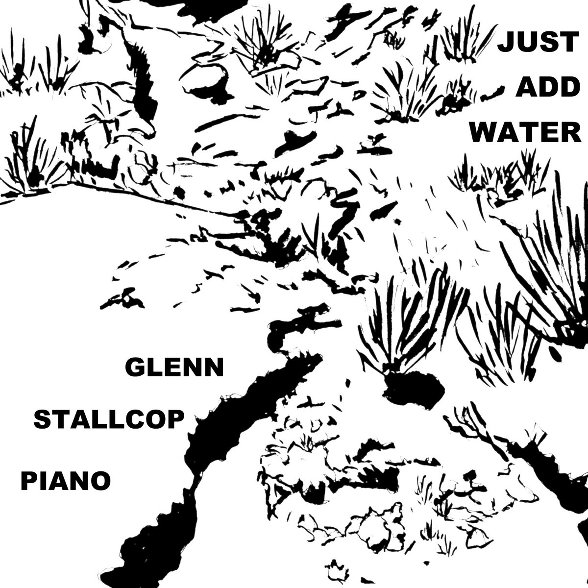 Just Add Water | Glenn Stallcop composer/pianist | Glenn Stallcop