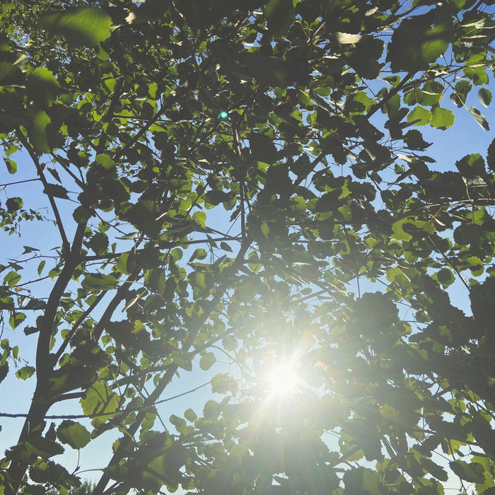 sunwarmed breeze | lurp sheets