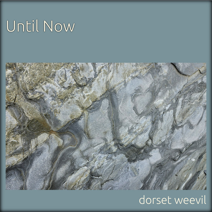 Until Now | dorset weevil