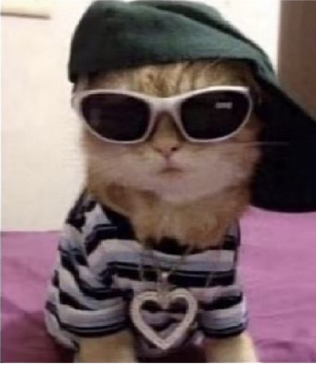 Gatos facheros | Producción Artística Interdisciplinar