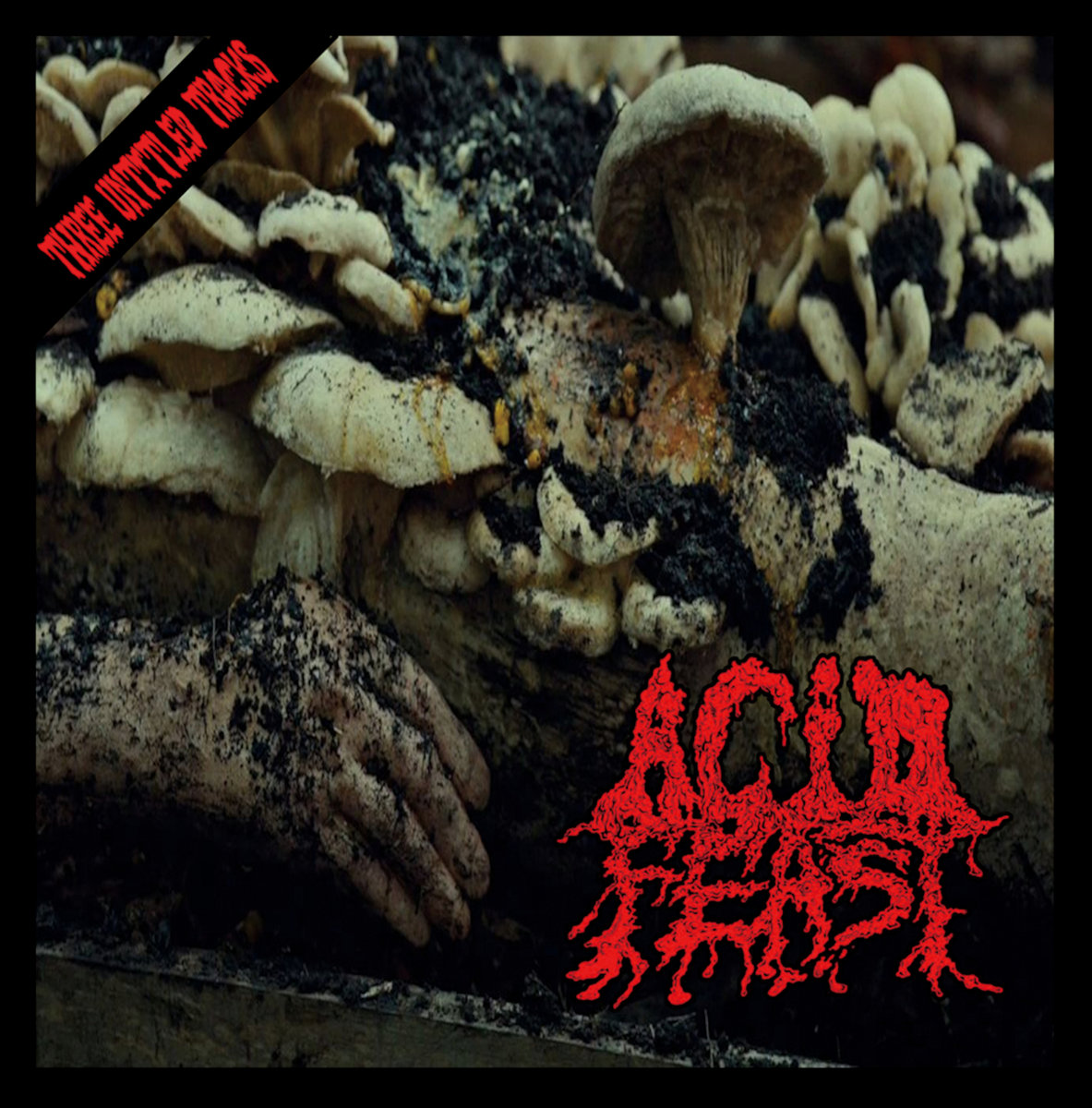Three Untitled Tracks | Acid Feast | Acid Redux Productions