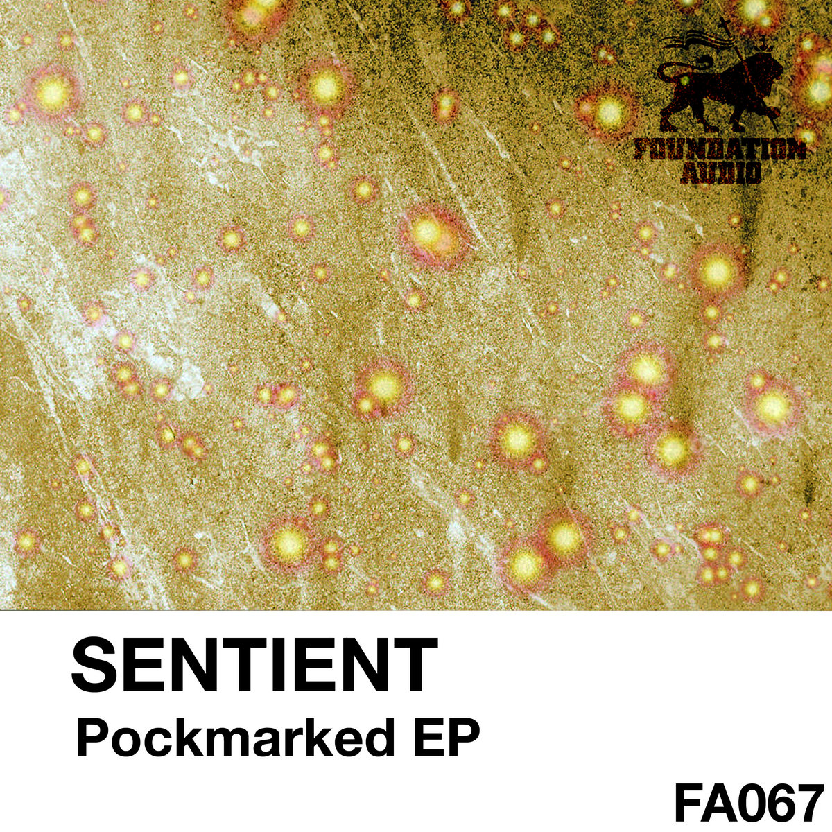 Pockmarked EP | Sentient | Foundation Audio