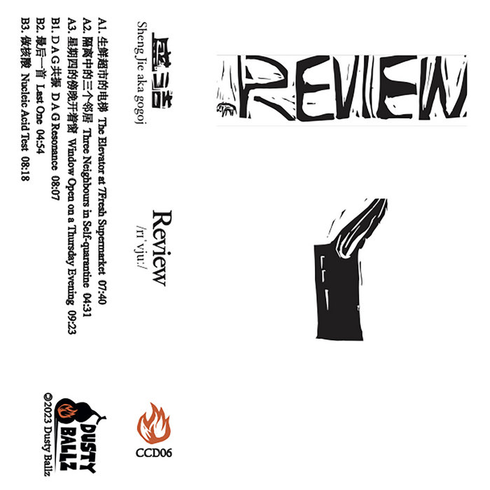 Review | Sheng Jie aka gogoj 盛洁 | gogoj