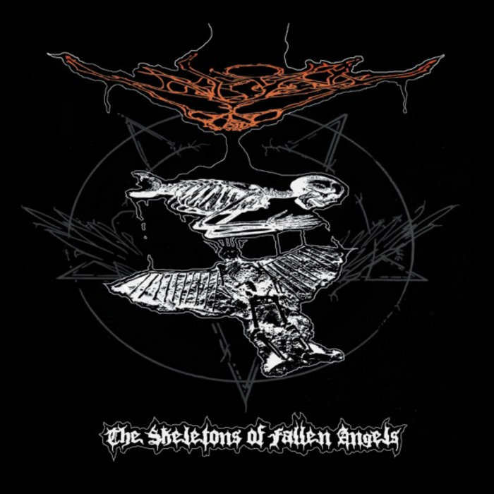 The Skeletons Of Fallen Angels | Weverin