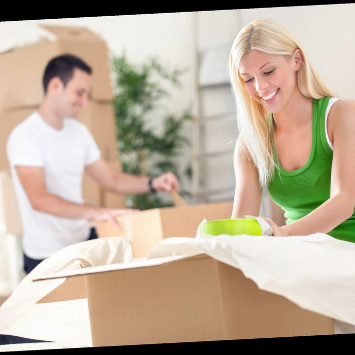 Chess move helper Florida | chess move helper | Julio Lovett