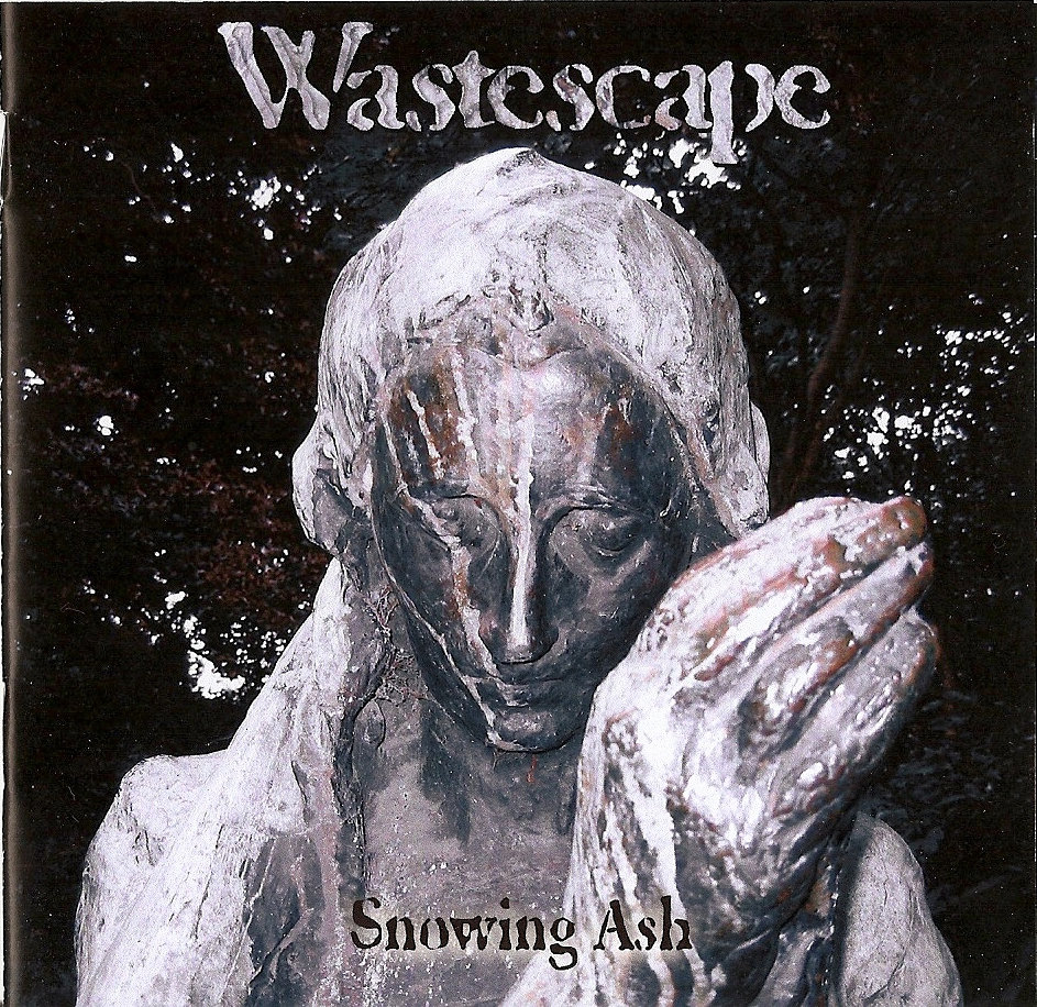 Snowing Ash | Wastescape
