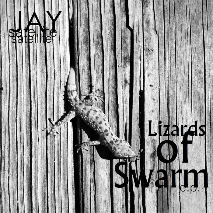 Lizards of Swarm | Jay Satellite