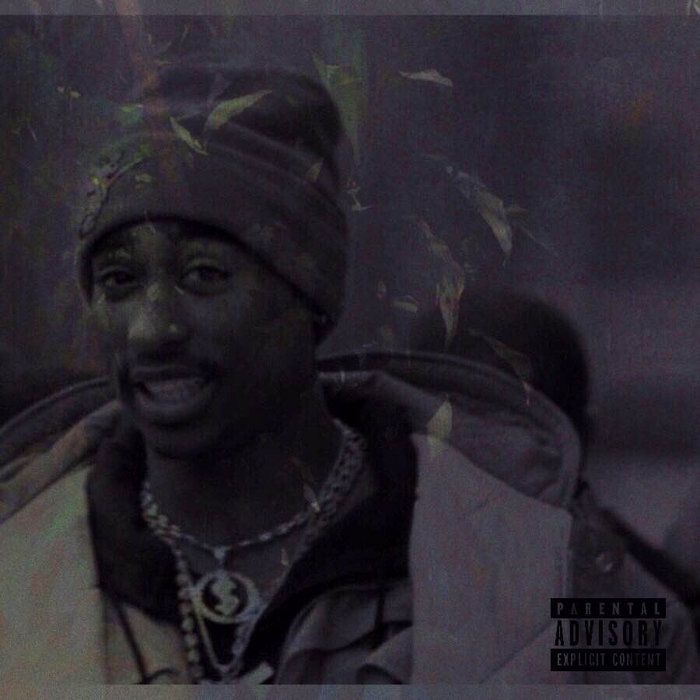 2. imgettin$$$$[TWRK] | Knxwledge.