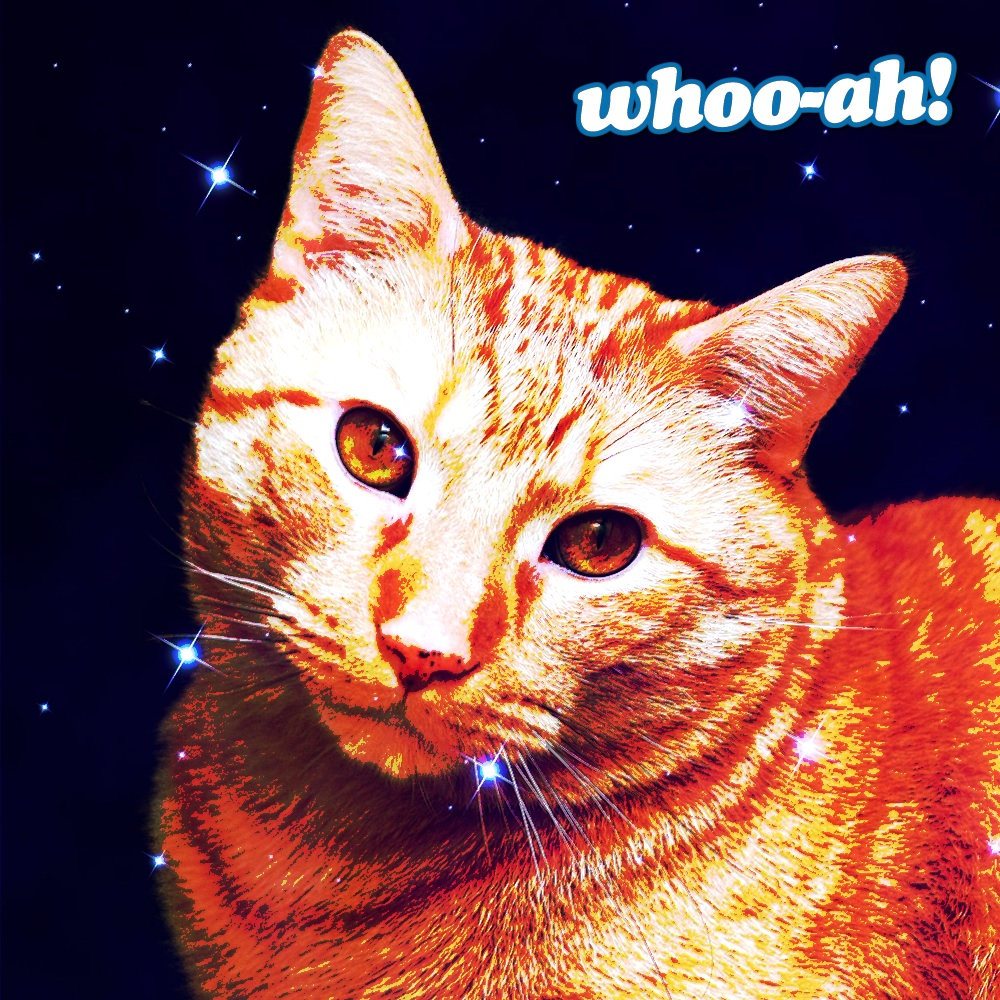 Space Cat | Whoo-ah!