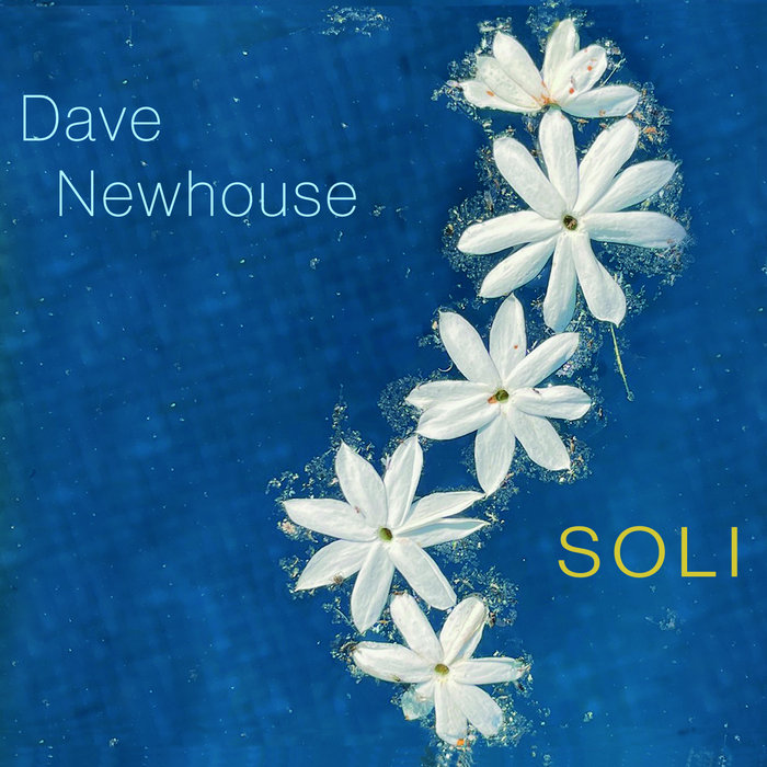 Soli | Dave Newhouse