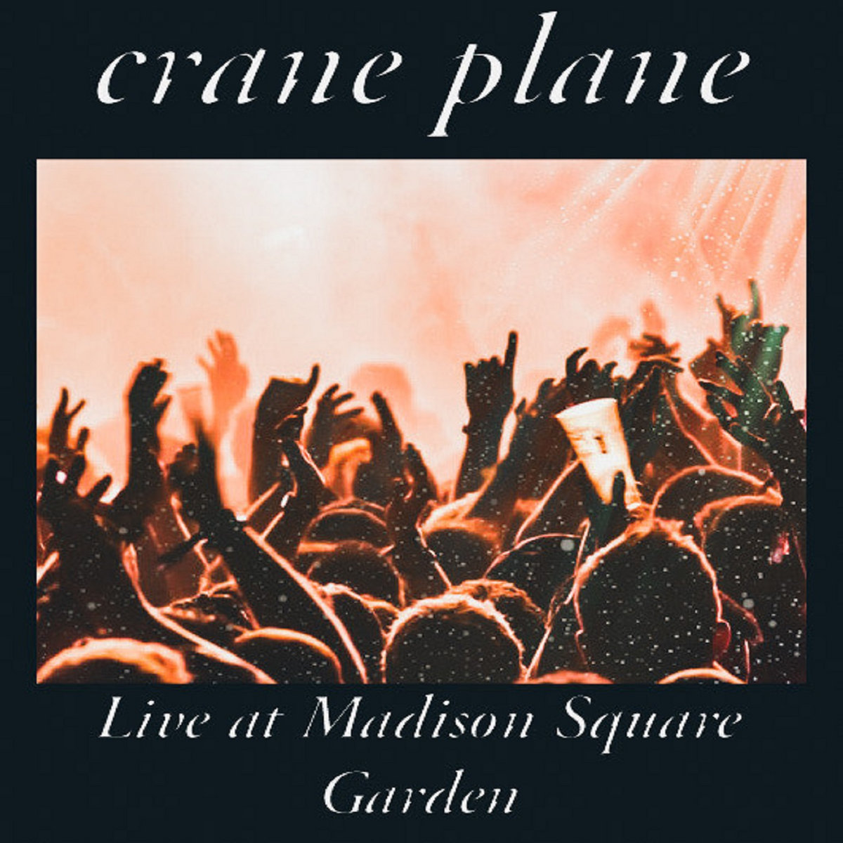 Crane Plane: Live at Madison Square Garden | crane plane
