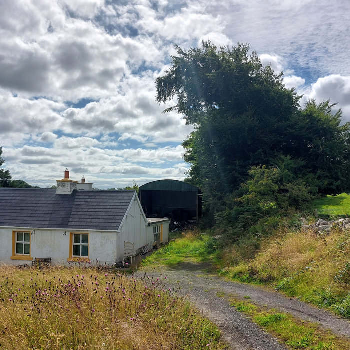 Home At Last | Diaspora