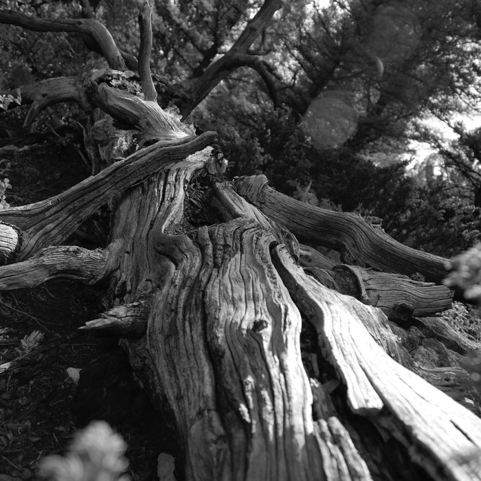 Reminiscences | John Conley