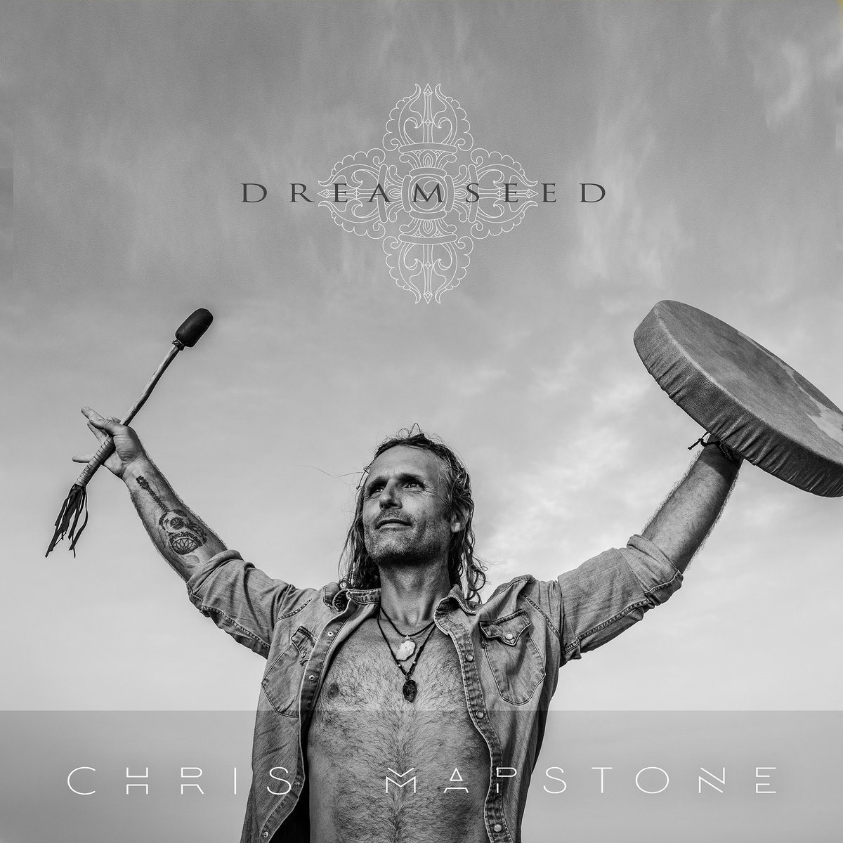 Dream Seed | Chris Mapstone | Mapstone