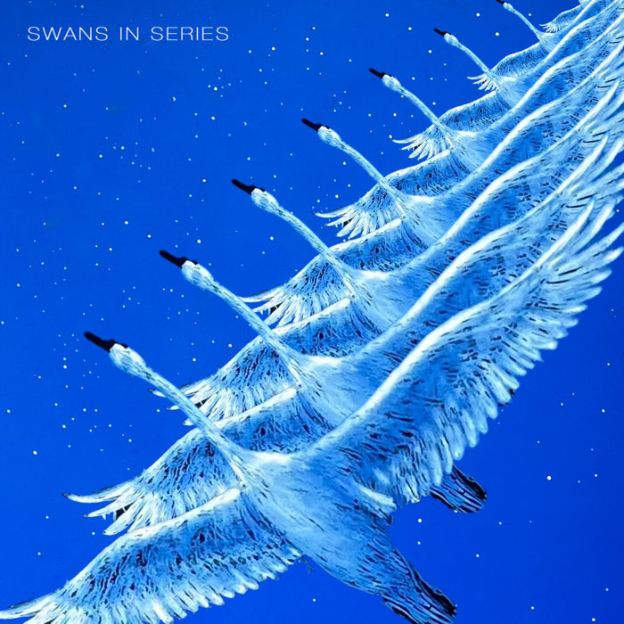 Swans in Series | Swanland