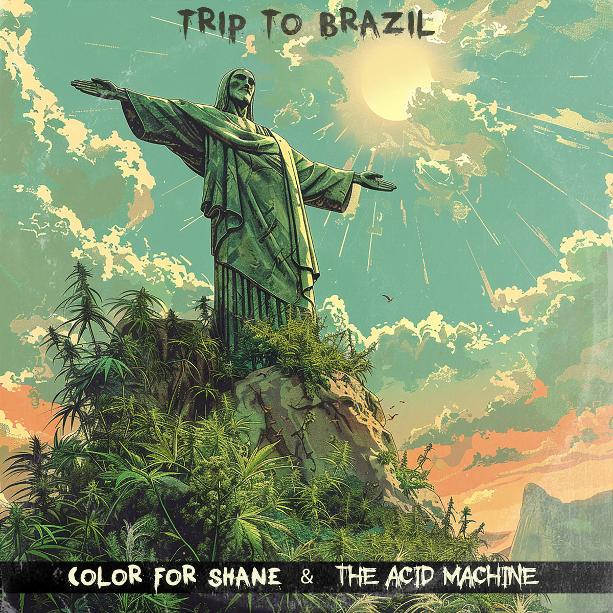 Trip to Brazil | Color for Shane/ The Acid Machine | Color for Shane