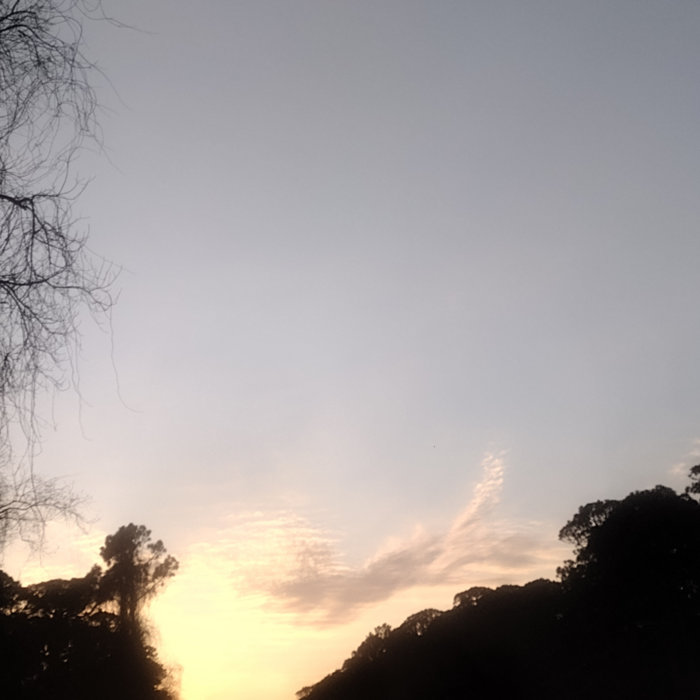 Island | LorettaW | Loretta W